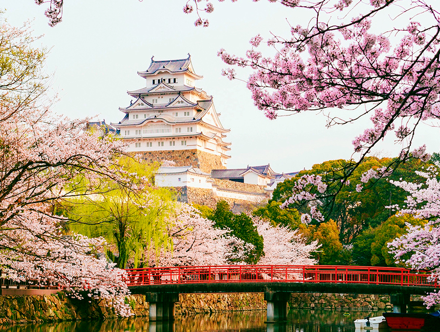 Hanami: cos'è e come si svolge - La cartoleria asiatica